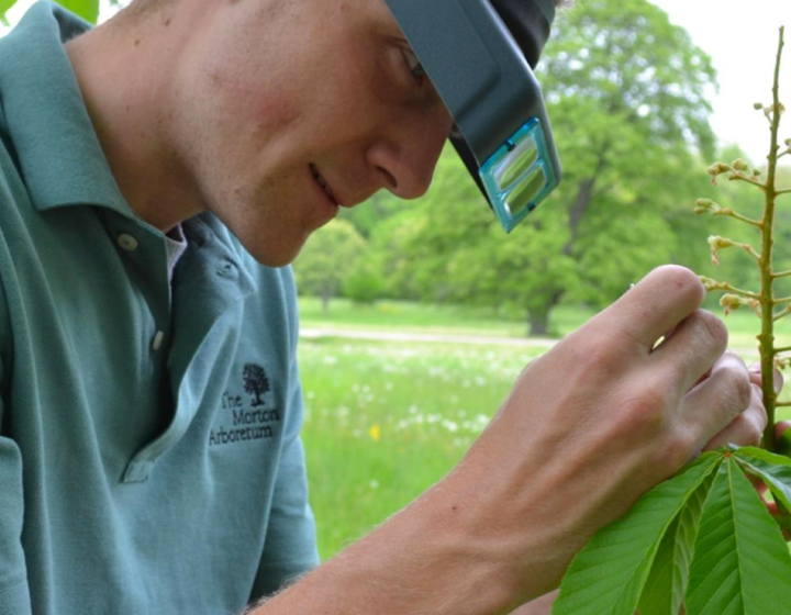 Arbor Day for All | The Morton Arboretum