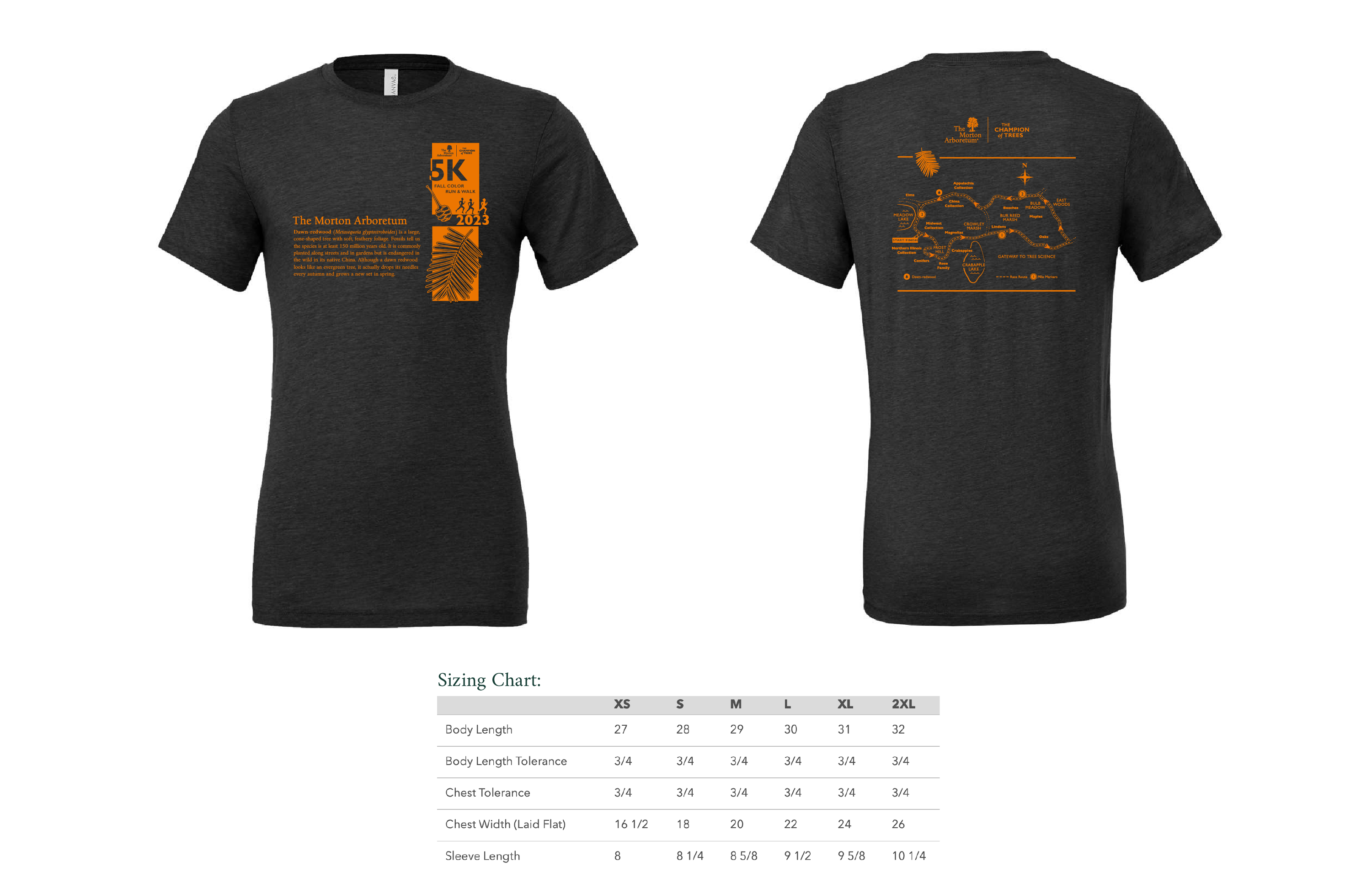 Fall Color 5K Run and Walk | The Morton Arboretum