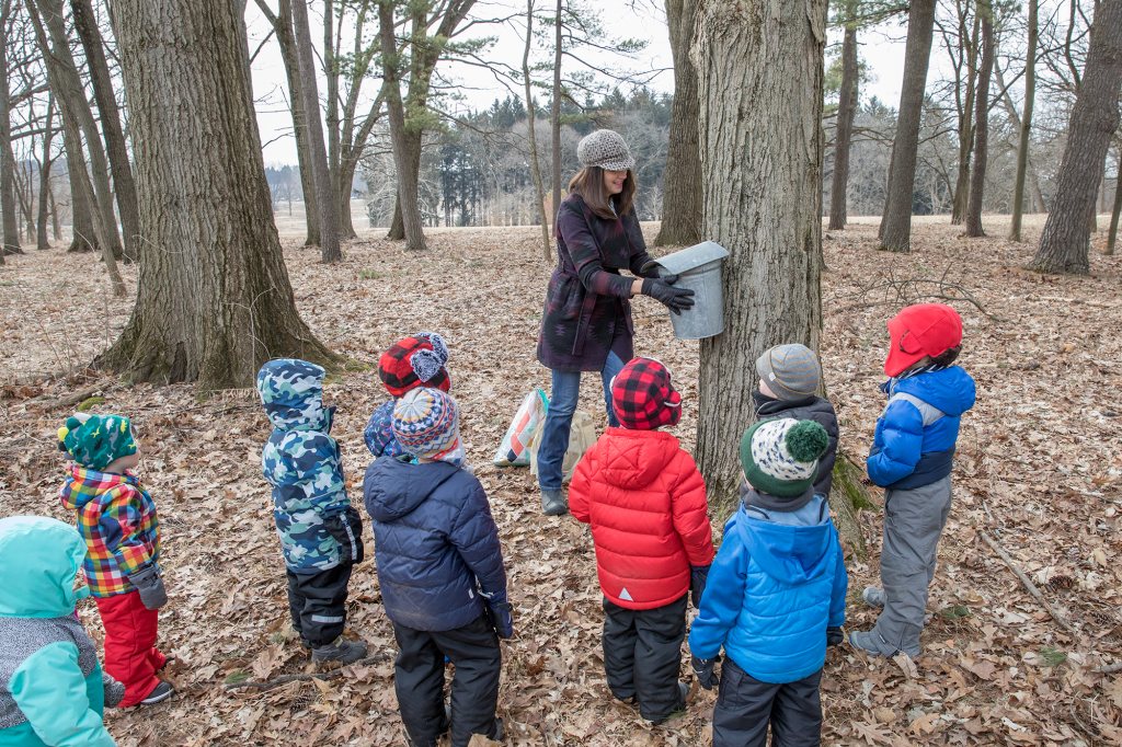 Maple Tapping Hikes | The Morton Arboretum