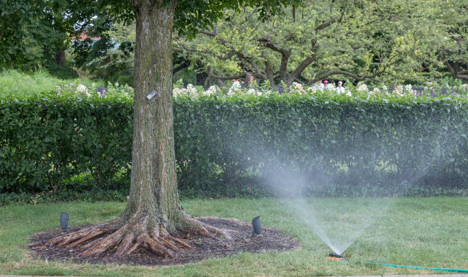 Latest News and Stories | The Morton Arboretum