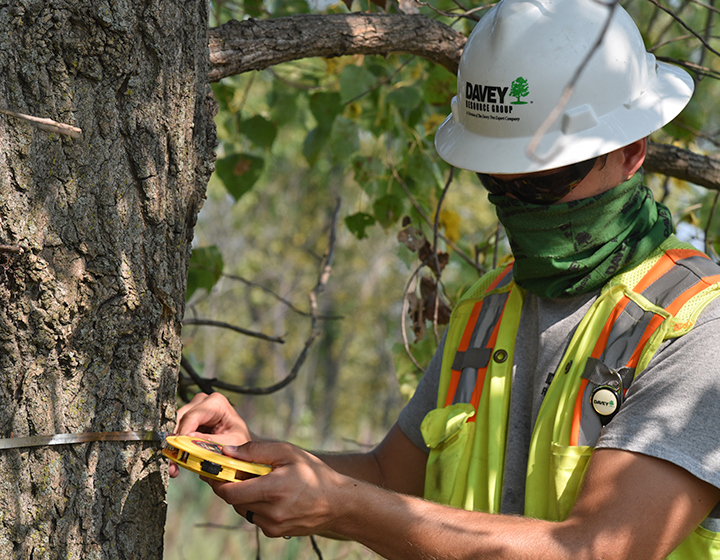 News Center | The Morton Arboretum