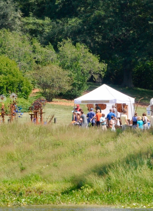 Illumination: Tree Lights at The Morton Arboretum | Holiday Light Show