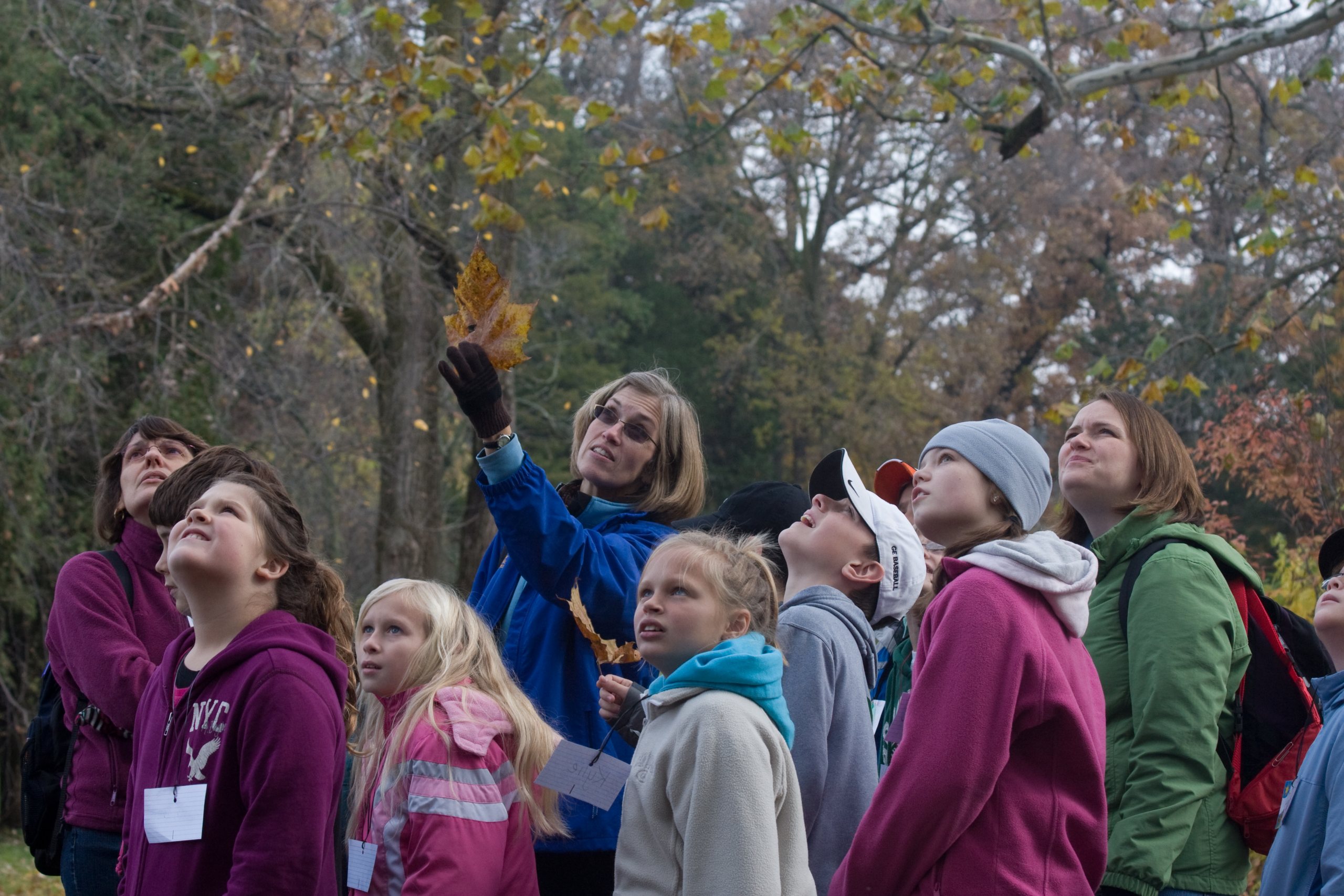 Fourth through Fifth Grade Field Trips | The Morton Arboretum
