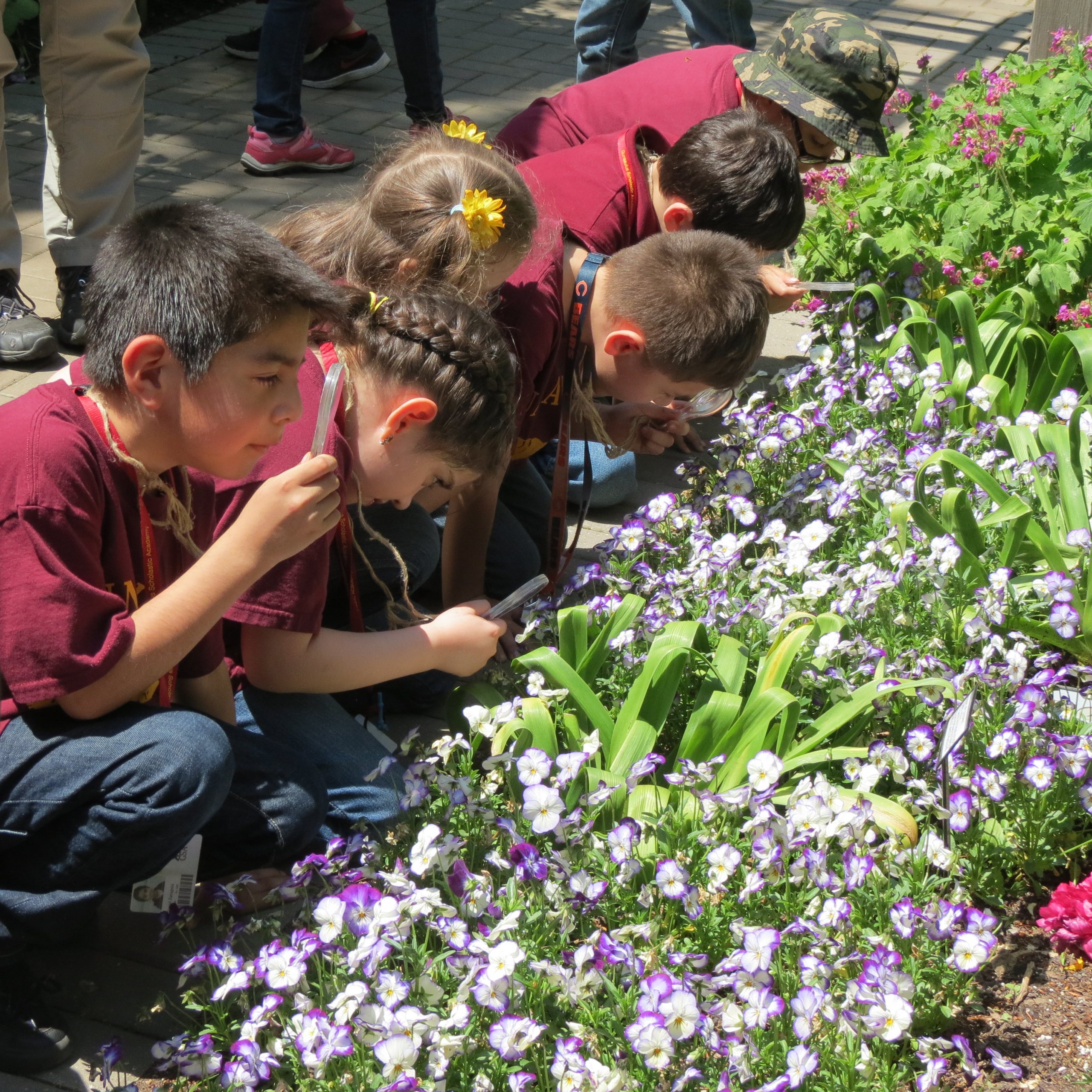 Second through Third Grade Field Trips | The Morton Arboretum