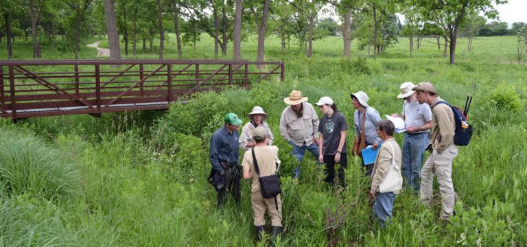 Advanced Summer Prairie Plant Identification | The Morton Arboretum