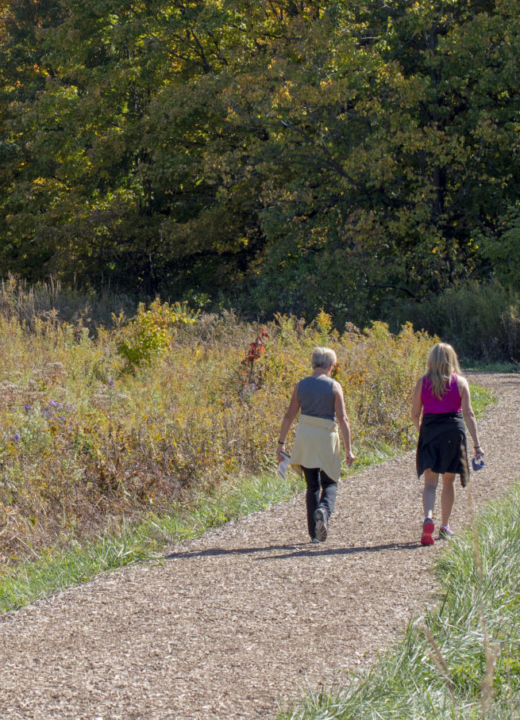 Forest Therapy Walks | Forest Bathing | The Morton Arboretum