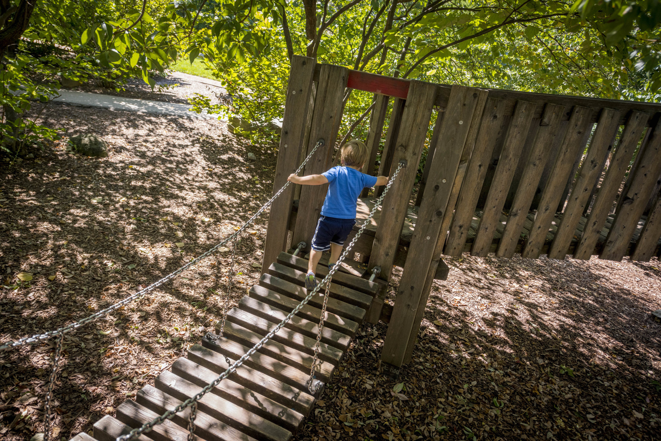 Forest Explorers | The Morton Arboretum