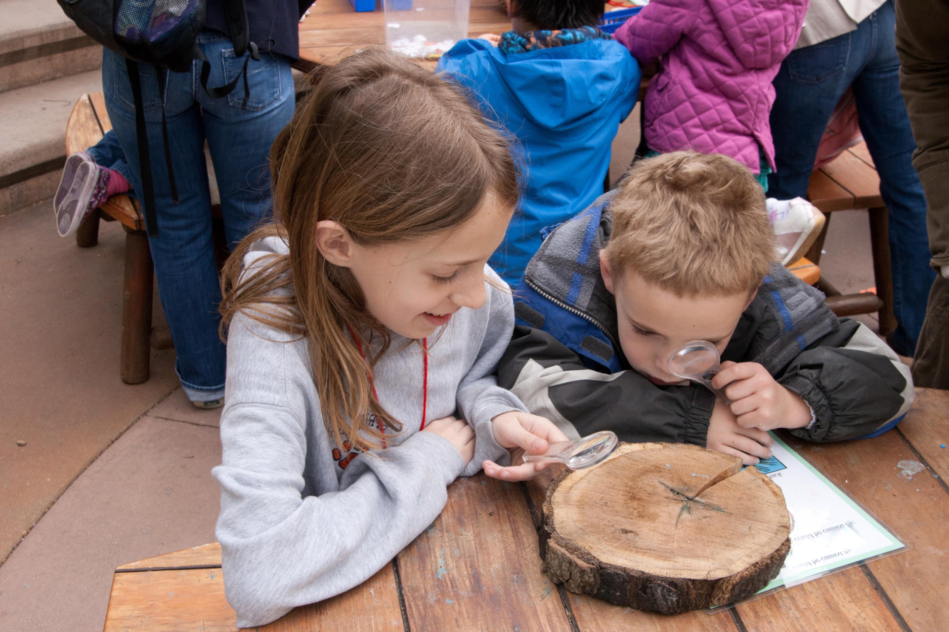 Forest Explorers | The Morton Arboretum