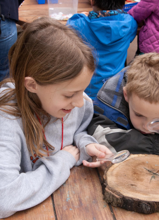 Woodland Family Hikes | The Morton Arboretum
