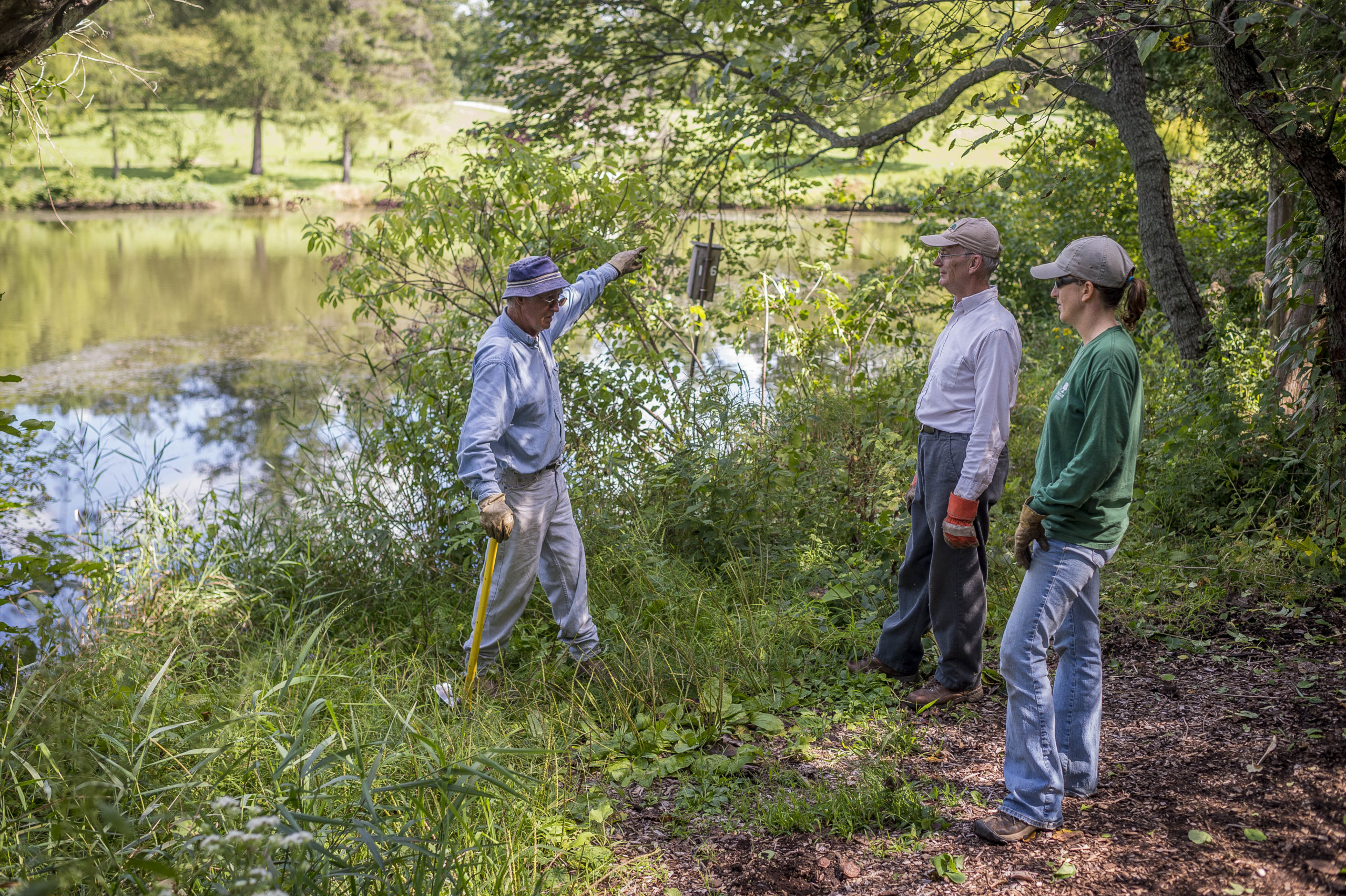 Introduction to Ecological Restoration | The Morton Arboretum