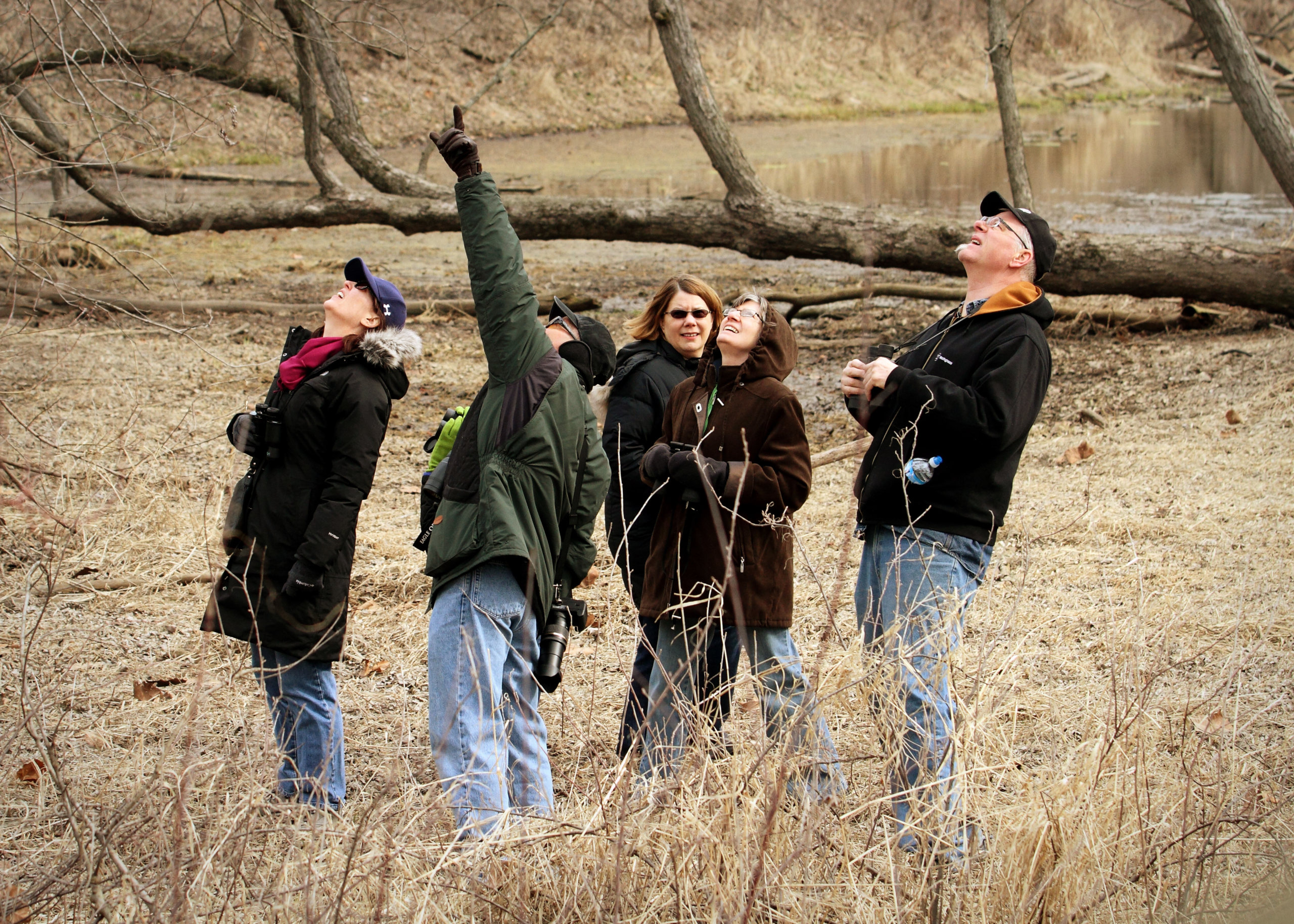 Beginning Birdwatching | The Morton Arboretum
