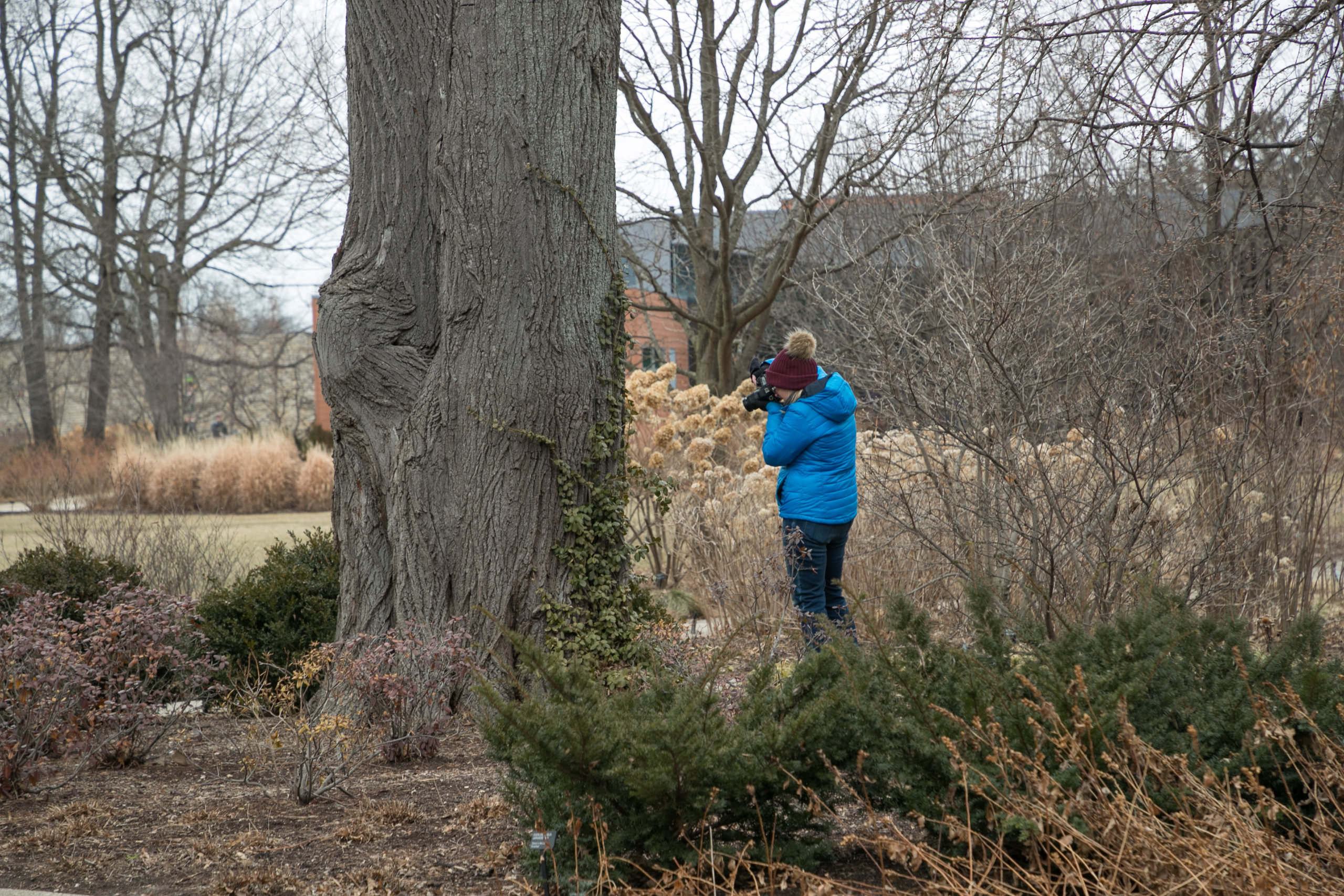 Photography Workshop: Out of the Box and Into Nature | The Morton Arboretum