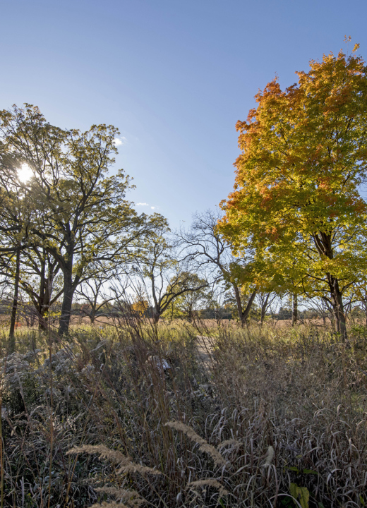 Chicago Wilderness Prescription Burn Crew Training | The Morton Arboretum