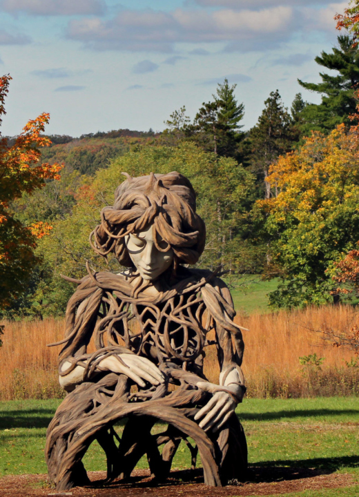 Collections and Creations | The Morton Arboretum