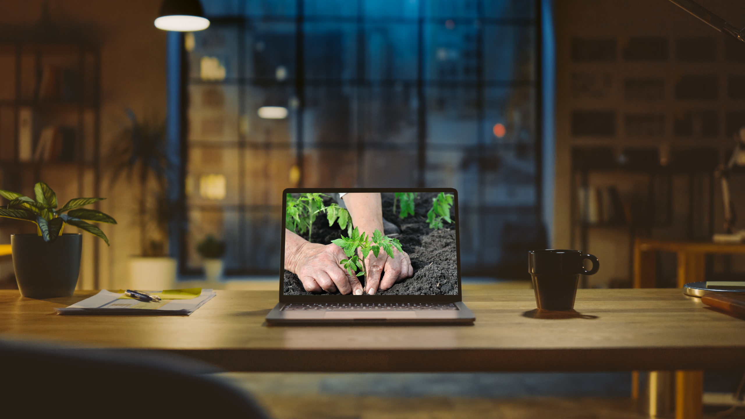 Start Your Vegetable Garden (online) | The Morton Arboretum