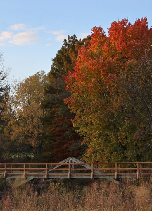 The Morton Arboretum | To plant and protect trees for a greener ...