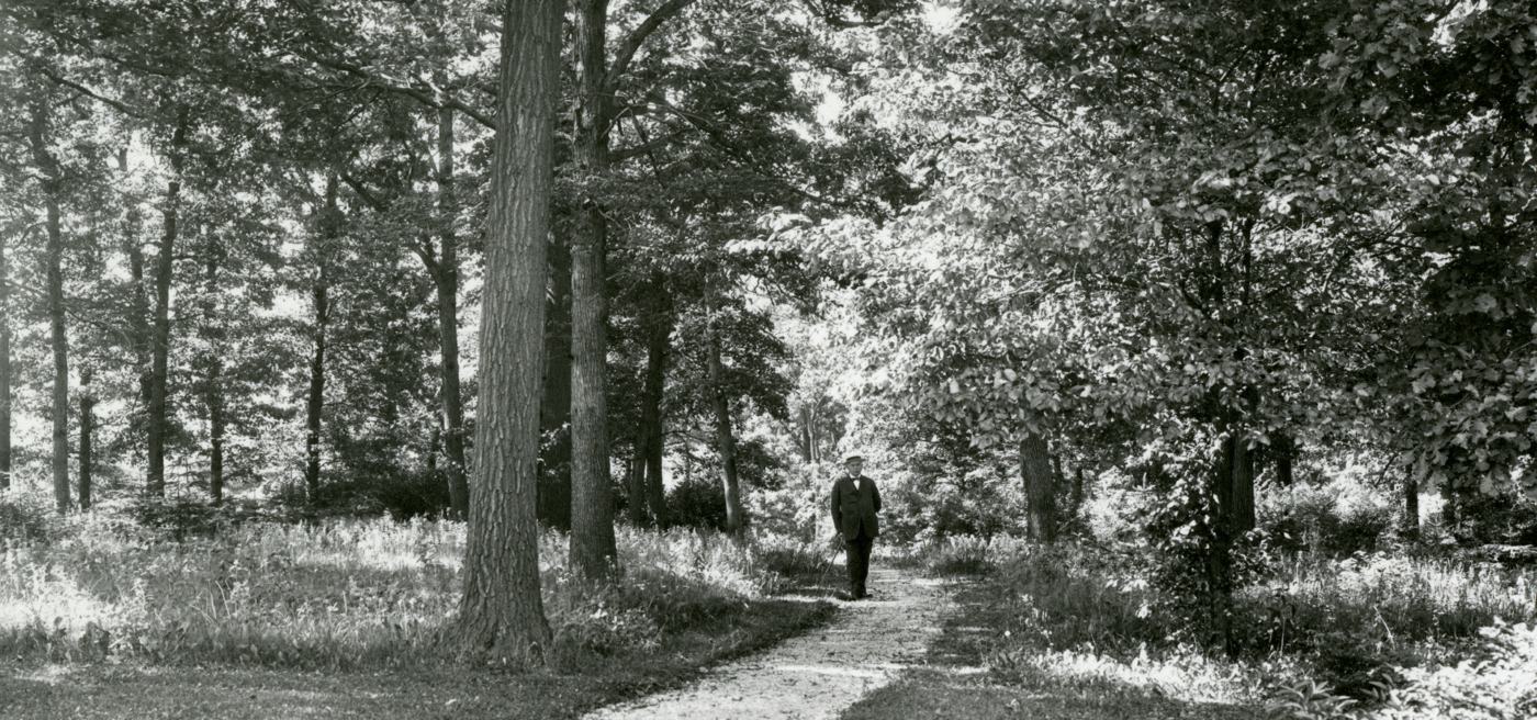Arbor Day for All | The Morton Arboretum