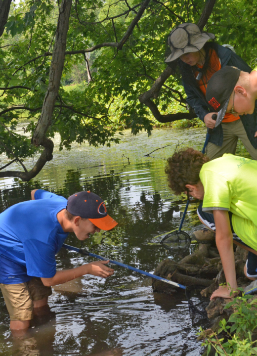 Summer Science Camps | The Morton Arboretum