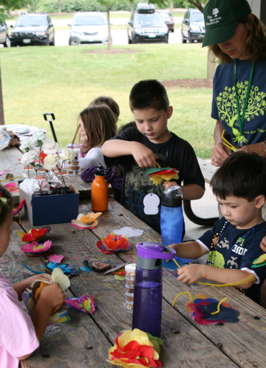 Summer Science Camps | The Morton Arboretum