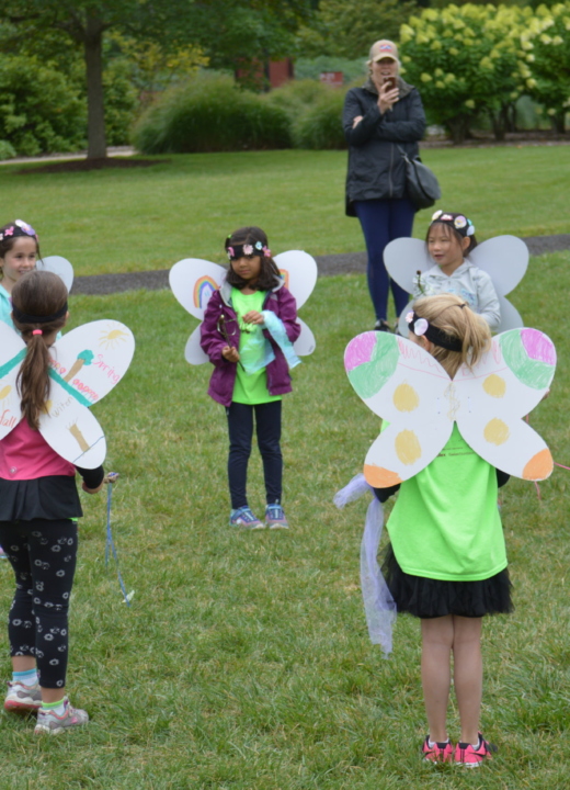 Sixth through Eighth Grade Summer Science Camps | The Morton Arboretum