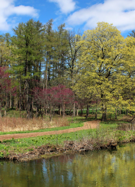 Arbor Day for All | The Morton Arboretum