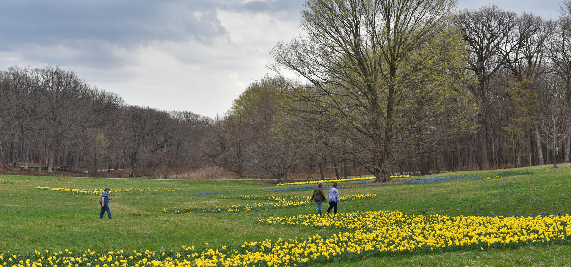 The Morton Arboretum | To plant and protect trees for a greener ...