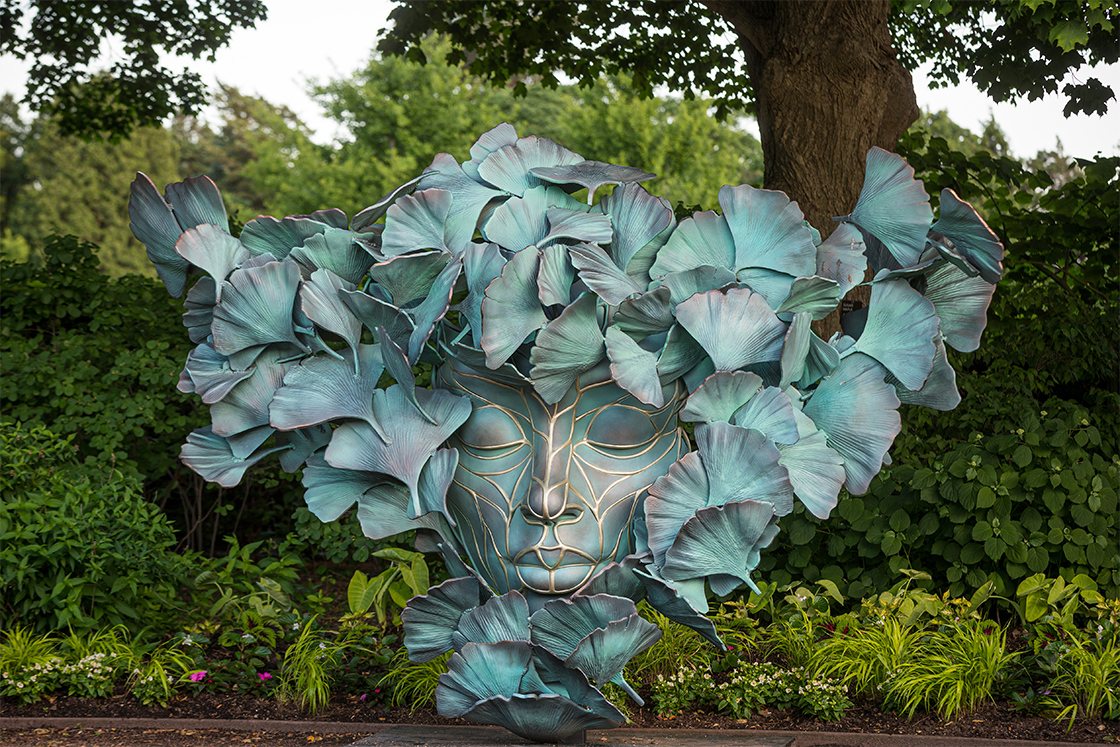 Human+Nature | The Morton Arboretum