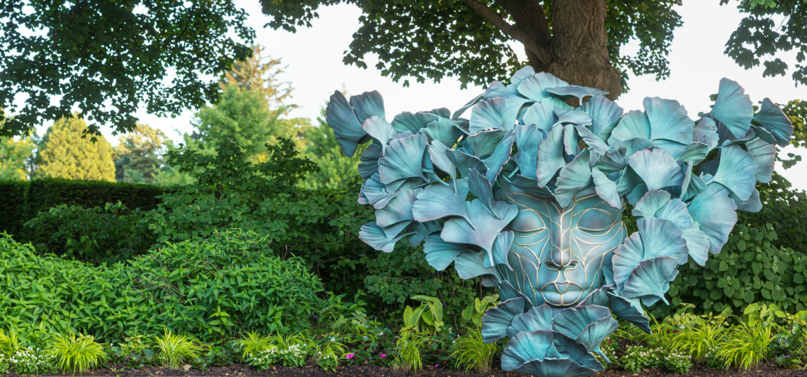 Explore | The Morton Arboretum