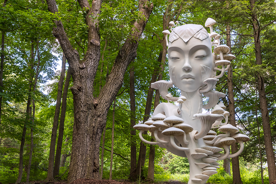 Human+Nature | The Morton Arboretum