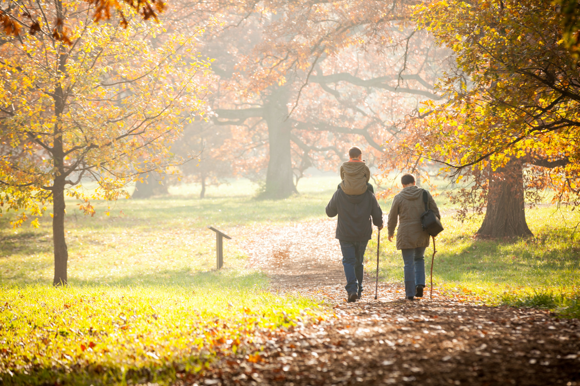 Woodland Family Hikes (in person) | The Morton Arboretum