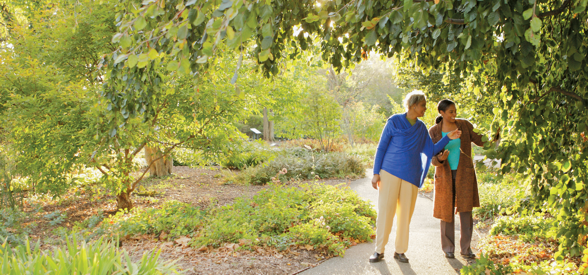 The Morton Arboretum | To plant and protect trees for a greener ...