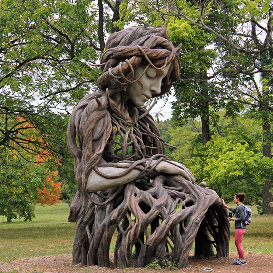 The Morton Arboretum | To plant and protect trees for a greener ...