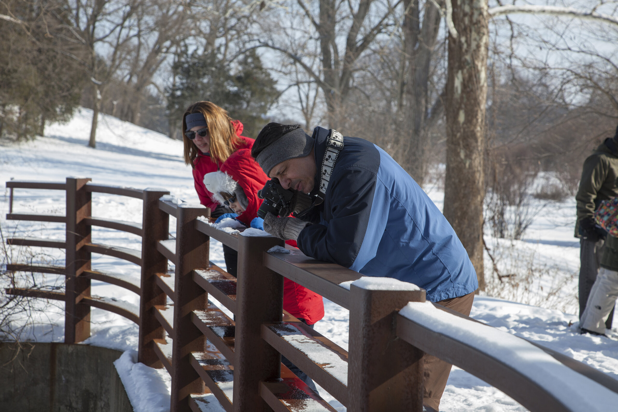 Basic Nature Photography | The Morton Arboretum