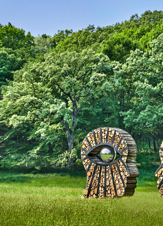 Human+Nature | The Morton Arboretum