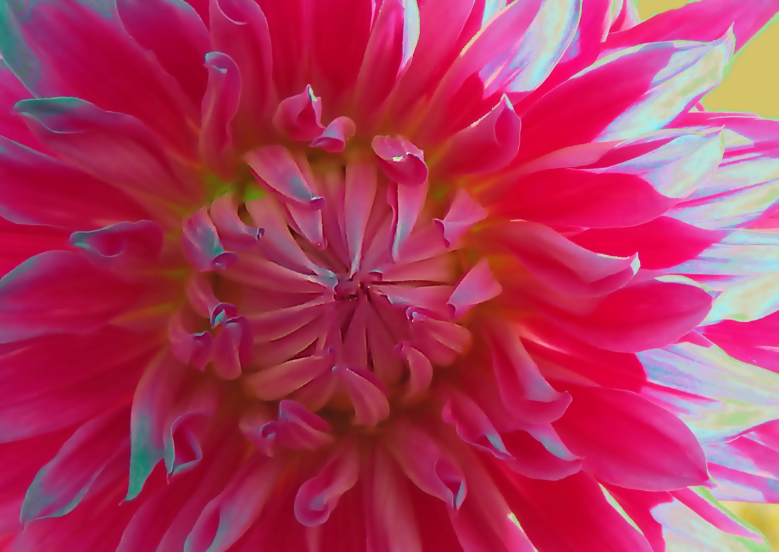 The Morton Arboretum Photographic Society Exhibit of Nature Photography ...