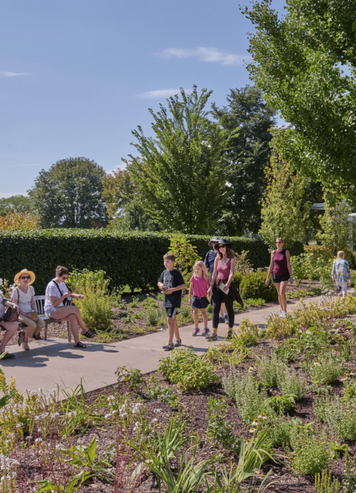 Nature Play For All | The Morton Arboretum
