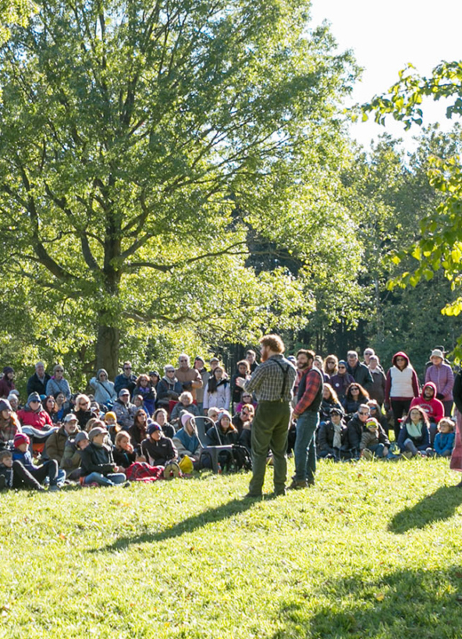 The Morton Arboretum | To plant and protect trees for a greener ...
