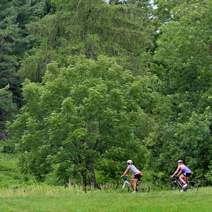 The Morton Arboretum | To plant and protect trees for a greener ...