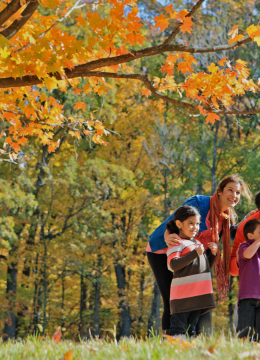 Fall Color 5K Run and Walk | The Morton Arboretum