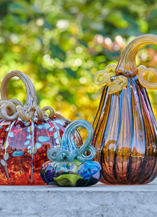 Fall Color 5K Run and Walk | The Morton Arboretum