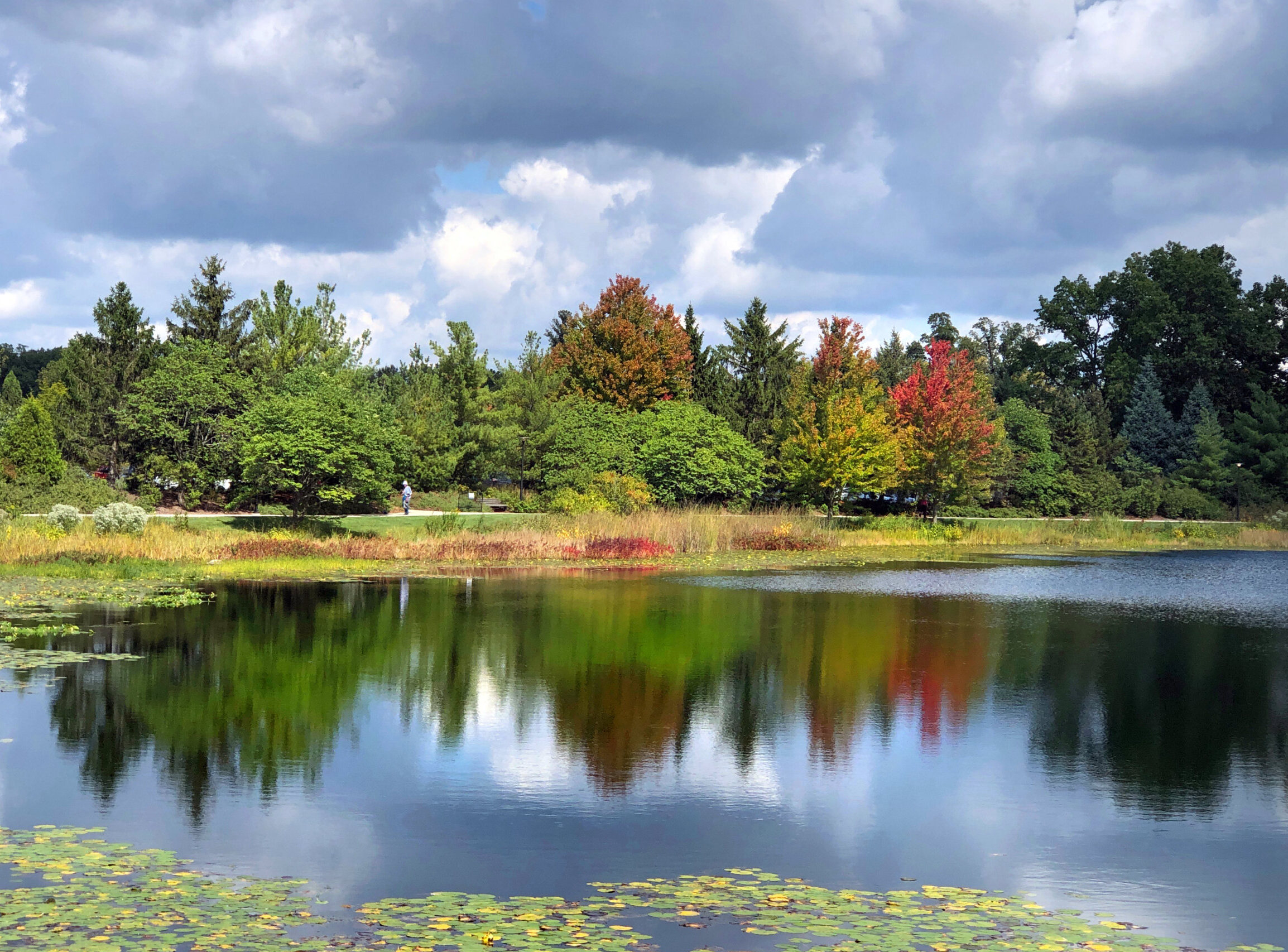 Fall Color Report | The Morton Arboretum
