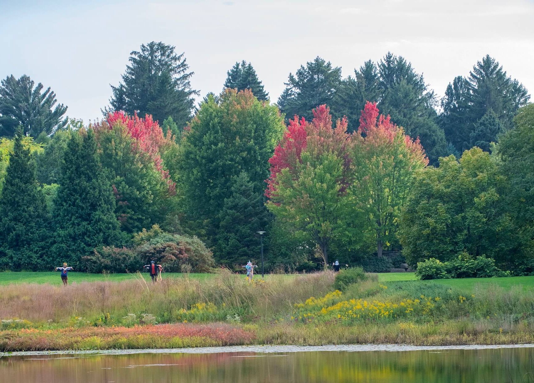 Fall Color Report | The Morton Arboretum