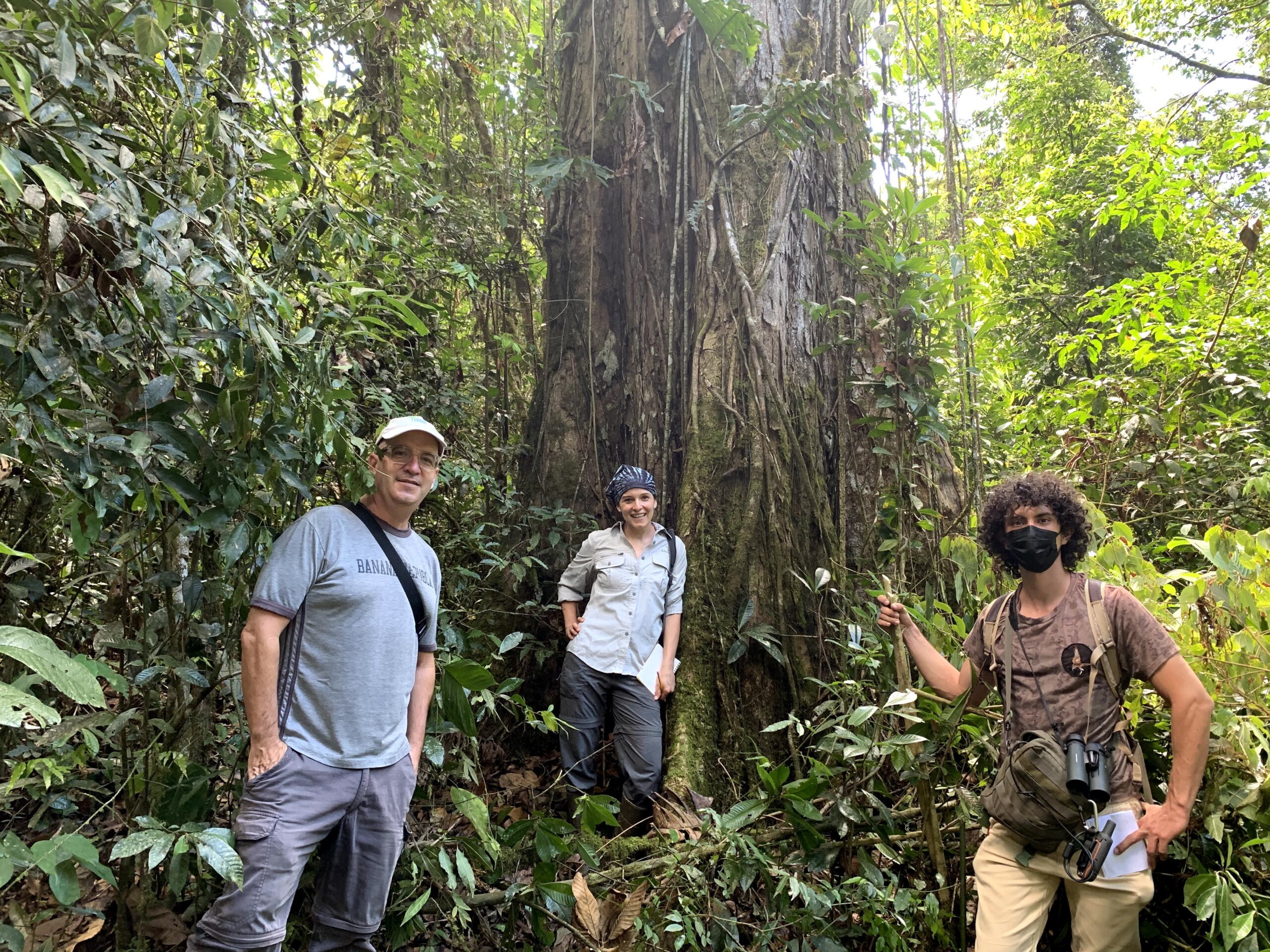 The Global Effort to Conserve Endangered Trees | The Morton Arboretum