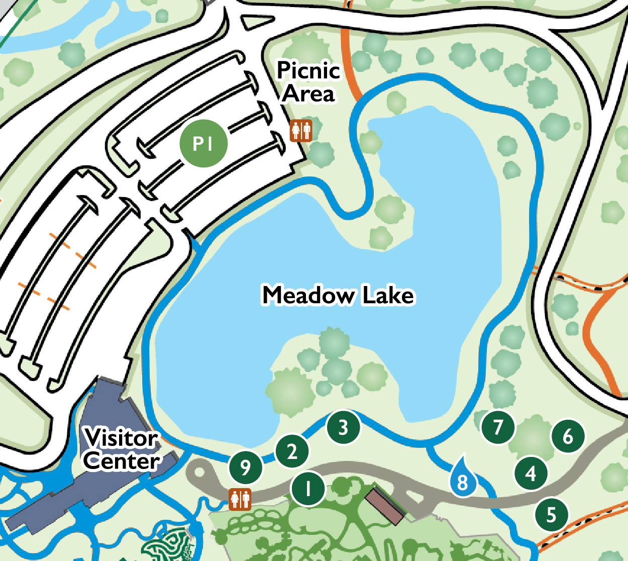 Tails on the Trails | The Morton Arboretum