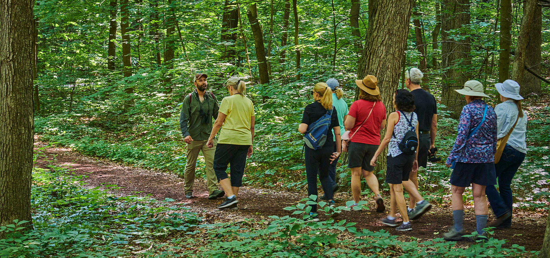 Caminata en la Naturaleza | The Morton Arboretum