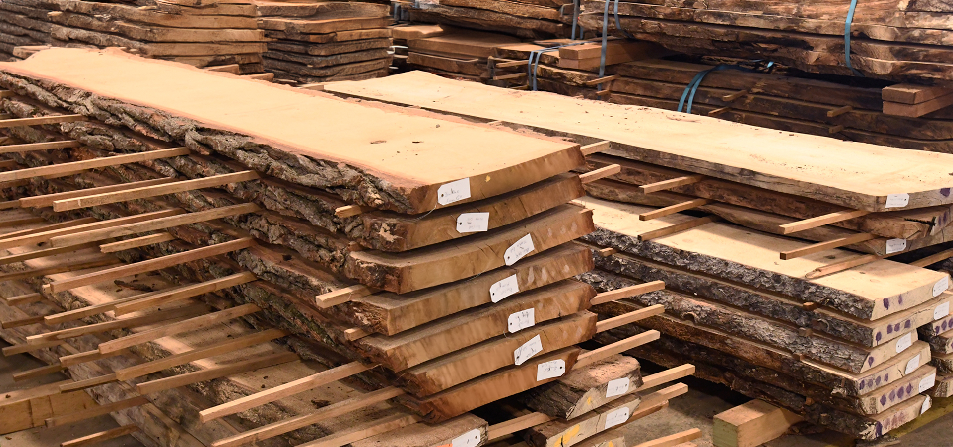 Wood Slab Sale | The Morton Arboretum