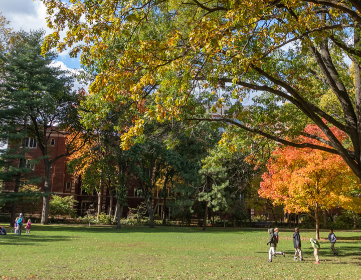 Support the Chicago Region Trees Initiative | The Morton Arboretum