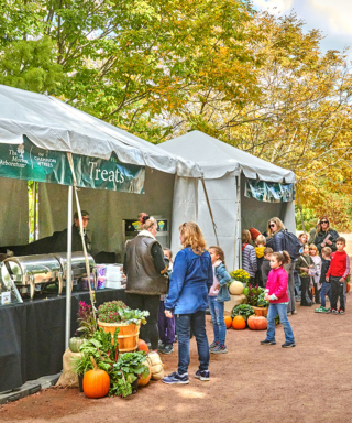 Fall Color Festival | The Morton Arboretum