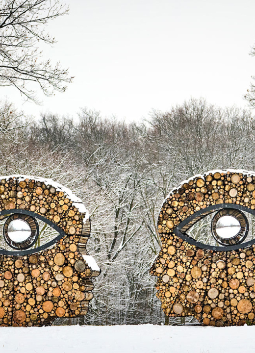 Human+Nature | The Morton Arboretum