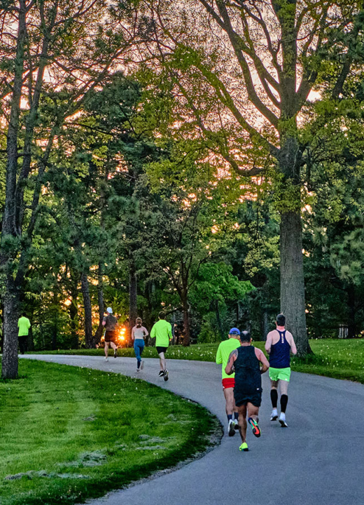 Electric Illumination | The Morton Arboretum